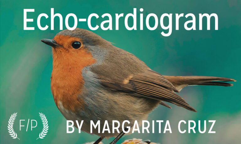 2026 Hurt & Healing Prize FIRST PLACE WINNER: "Echo-cardiogram" by ...